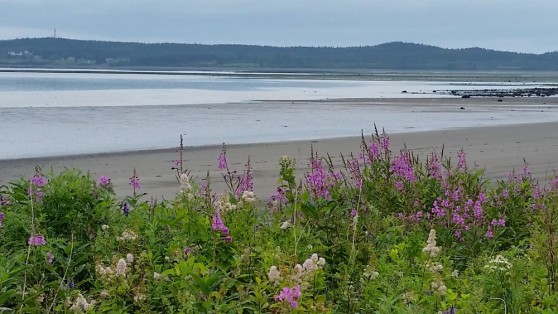 First Light Vacation Rentals | VisitLubecMaine.com