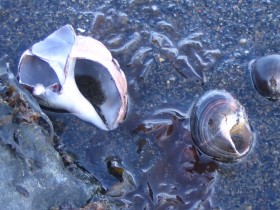 Lubec, Maine Down East Maine's Four-Season Vacation Destination